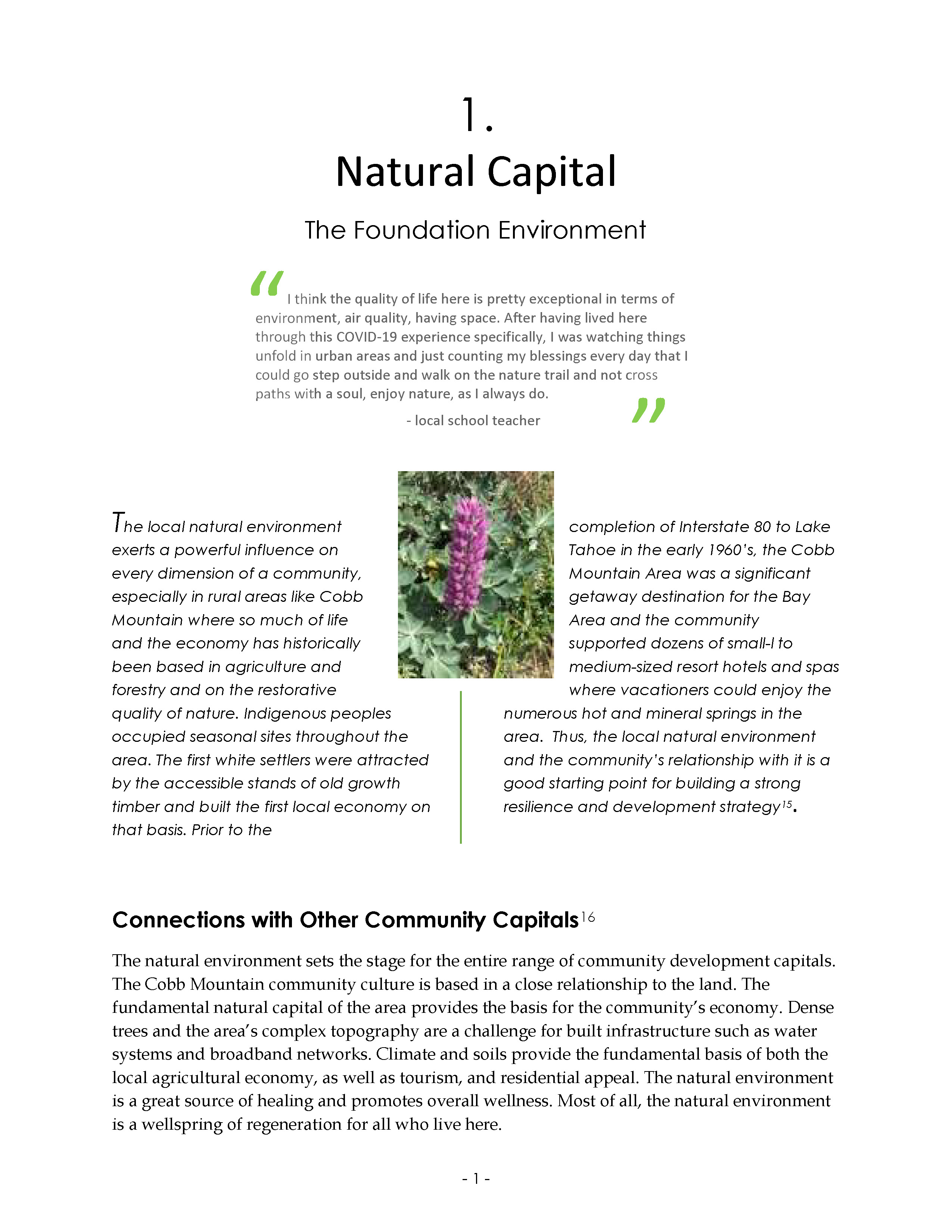 Natural Capital – Cobb Area Council